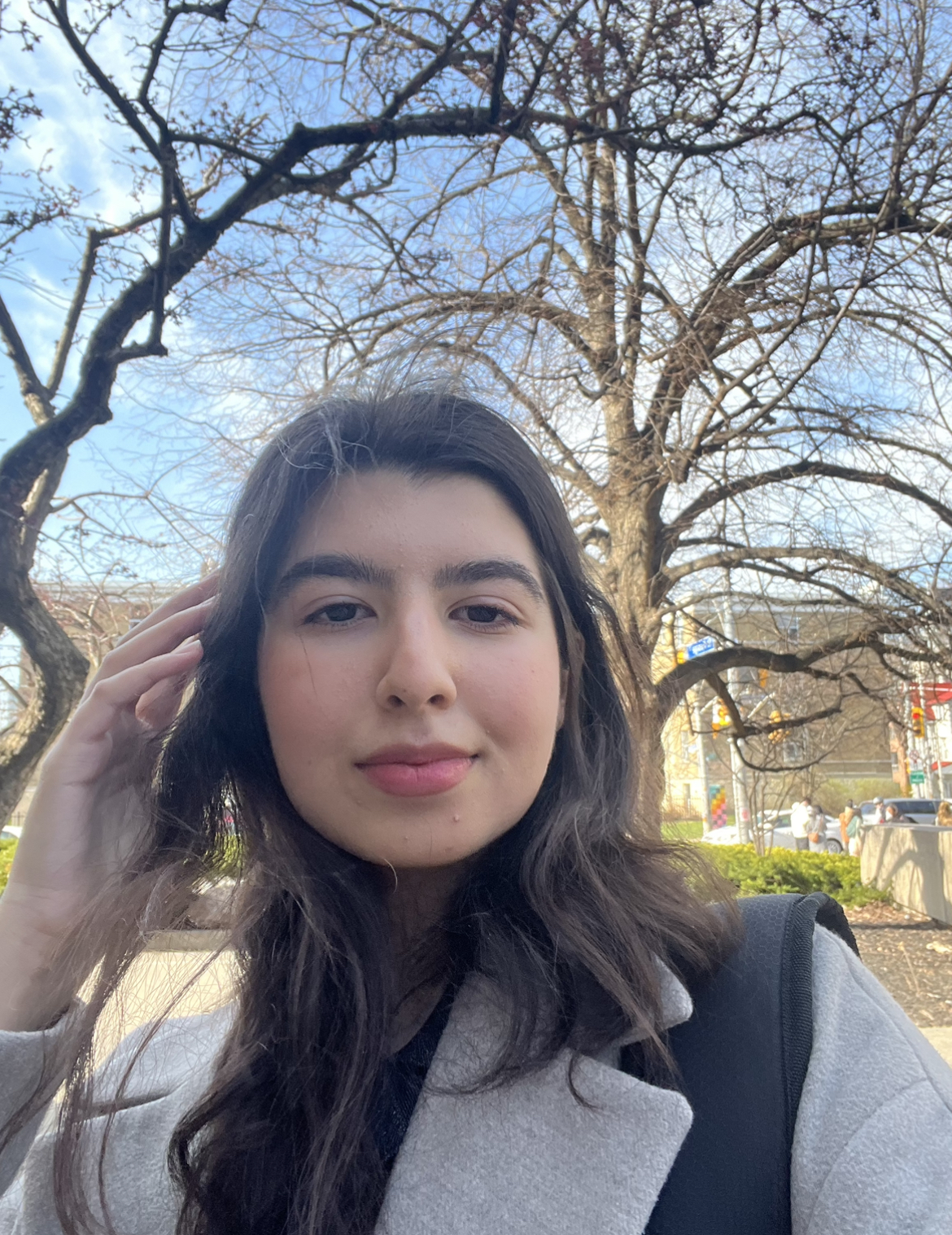 Neha Sohail - A Software Developer